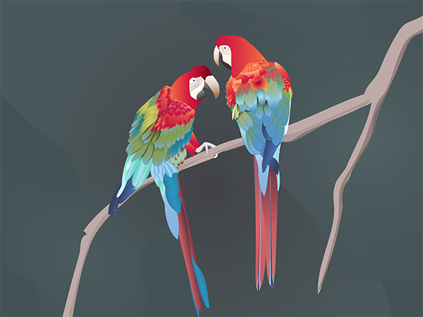 Featured Work | Auburn University Adobe Creative Cloud