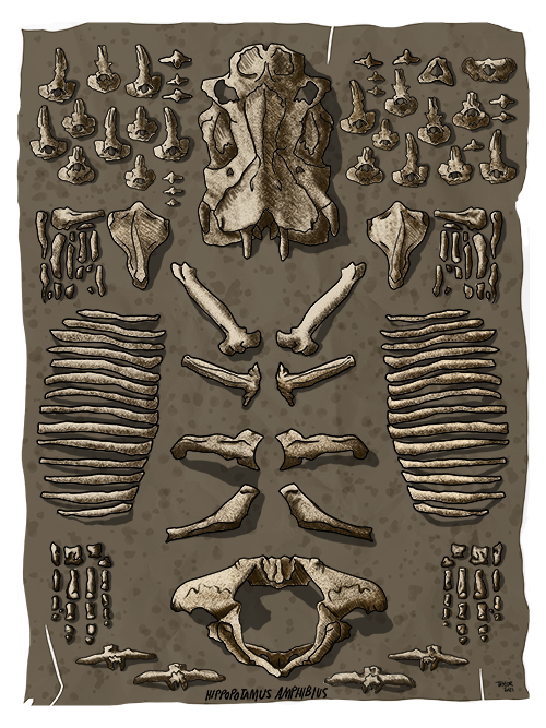 Featured Work | Auburn University Adobe Creative Cloud